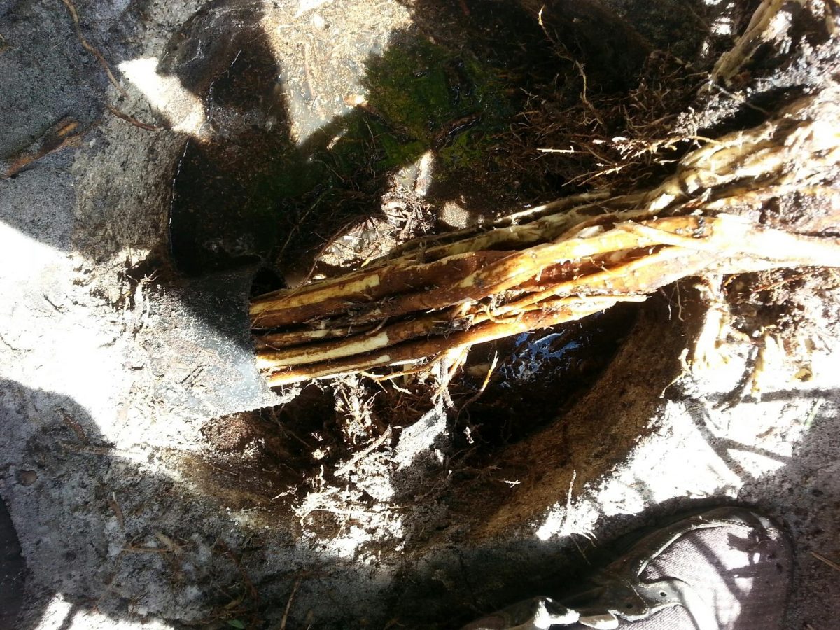 Jupiter Septic Photos - Septic photos, drainfield installation photos.