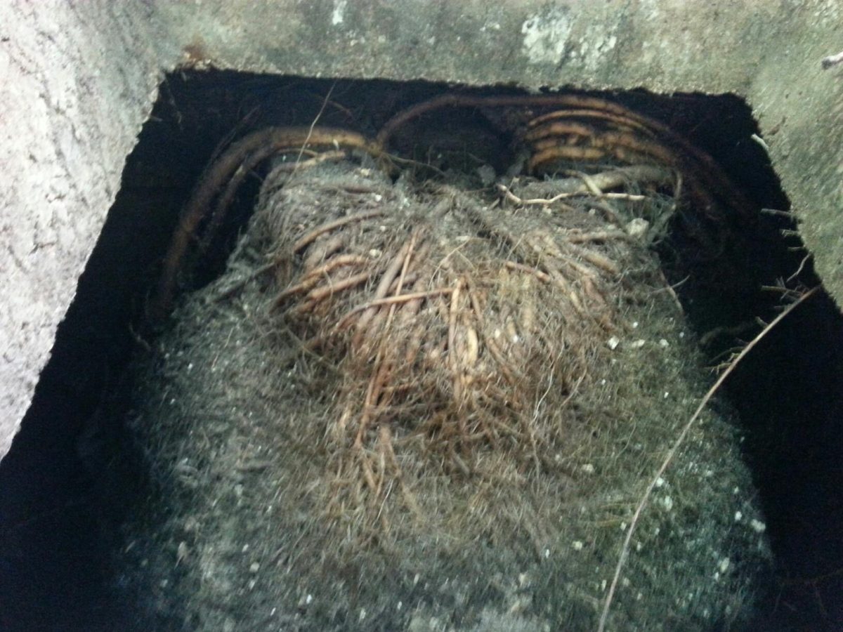 Jupiter Septic Photos - Septic photos, drainfield installation photos.